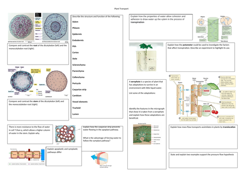 Biology AS Level (CIE) Revision Mats - selected topics | Teaching Resources