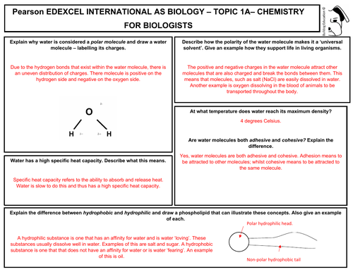 EDEXCEL International AS Biology - Topic 1A - Chemistry for Biologists ...