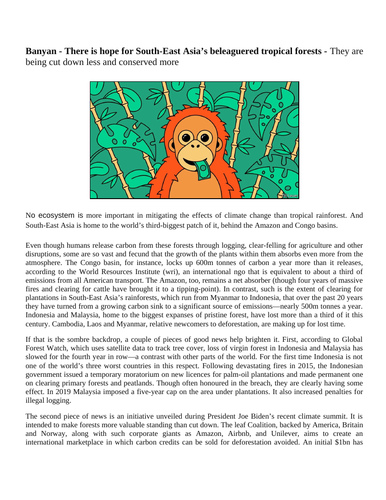 Carbon Cycle Human Impacts | Teaching Resources