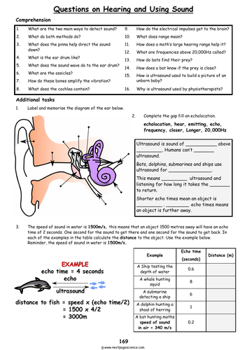 Hearing and Using Sound (Ultrasound) | Teaching Resources