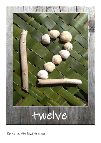 Nature Numbers with shells and sticks-beachy set 0-20 | Teaching Resources