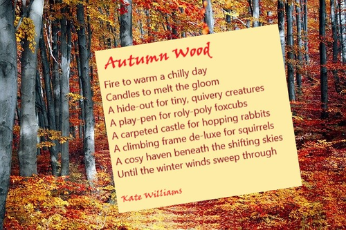 Autumn Wood Poem + Blank Frame | Teaching Resources