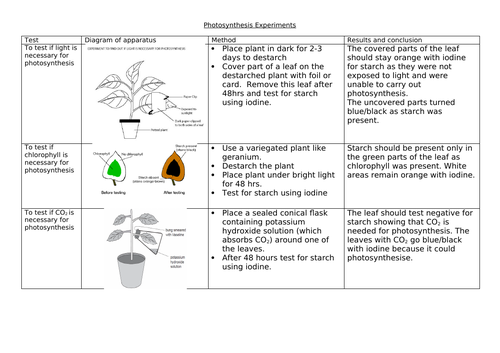 Photosynthesis Experiments | Teaching Resources
