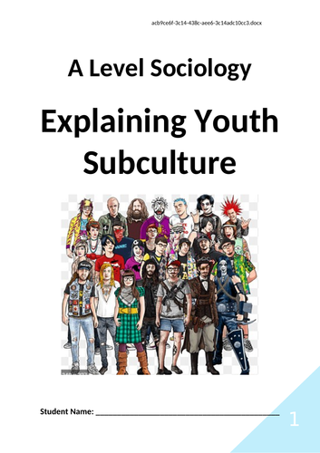 OCR A Level Sociology YOUTH SUBCULTURE | Teaching Resources