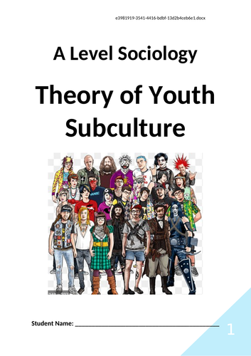 OCR A Level Sociology YOUTH SUBCULTURE | Teaching Resources