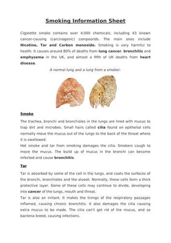 Drugs, Alcohol and Smoking PSHE Bundle | Teaching Resources