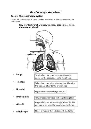 Gas Exchange KS3 Activate Science | Teaching Resources