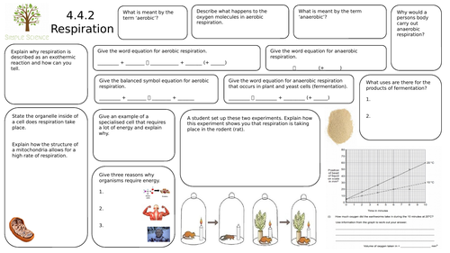AQA GCSE Science - Respiration | Teaching Resources