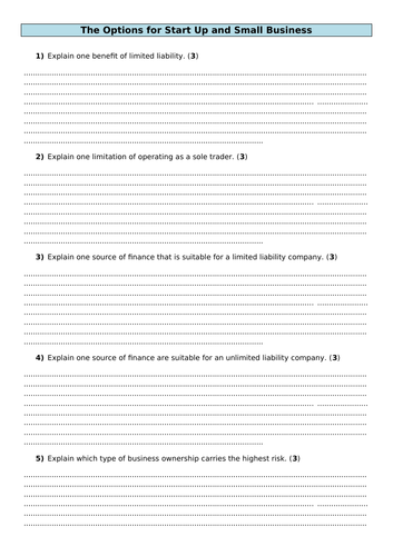 Options for Small Businesses Worksheet - GCSE (9-1) Business | Teaching ...