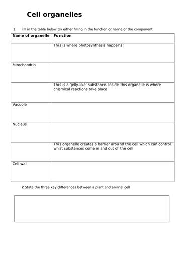 Activate scheme YEAR 7 organisms - Plant and animal cells | Teaching ...
