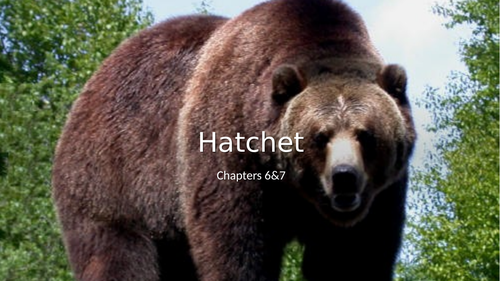 Hatchet by Gary Paulsen - Complete Novel Resource | Teaching Resources