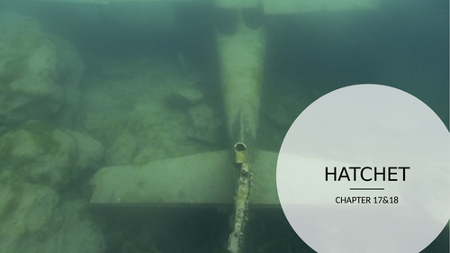 Hatchet by Gary Paulsen - Complete Novel Resource | Teaching Resources