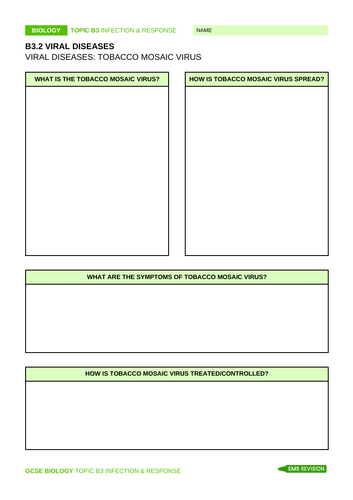 BIO | B3 INFECTION & RESPONSE (WORKSHEET) [BUNDLE] | Teaching Resources