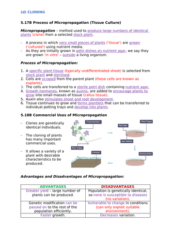 Cloning | (I)GCSE Biology Detailed Notes | Teaching Resources