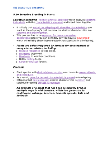Selective Breeding | (I)GCSE Biology Detailed Notes | Teaching Resources