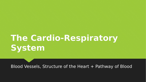 AQA GCSE PE Cardio-Respiratory Lesson Content + Exam Q's BLOOD VESSELS ...