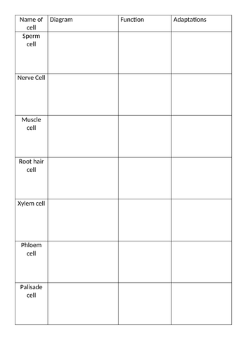 Cell specialisation and differentiation | Teaching Resources