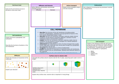 QCAA Biology Unit 1 Topic 1 graphic organiser (cells) | Teaching Resources