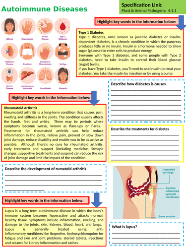 A Level Biology Autoimmune Diseases Lesson & Activities | Teaching ...