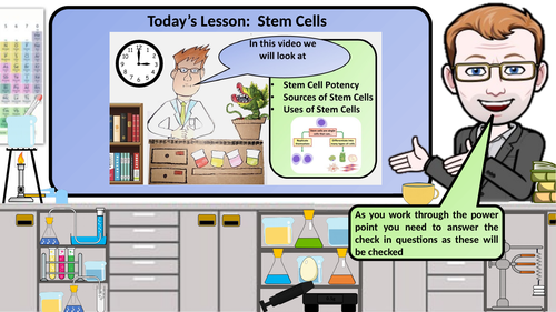 A Level Biology Stem Cells & Their Uses Lesson & Activities | Teaching ...