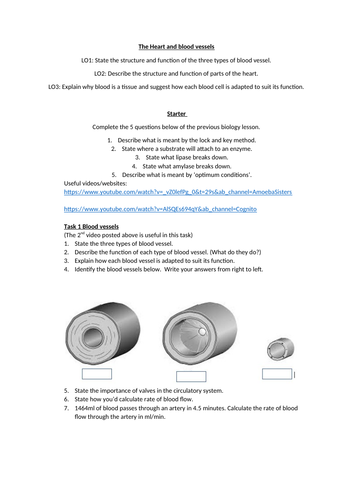 The Heart and Blood Vessels | Teaching Resources