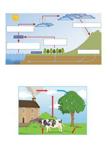 B7 Ecology - AQA GCSE Combined Science (9-1) NEW v2.0 | Teaching Resources
