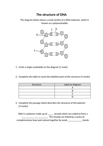 Structure of DNA (Edexcel GCSE Biology & Combined Science) | Teaching Resources