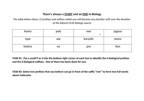 Structure of DNA (Edexcel GCSE Biology & Combined Science) | Teaching Resources