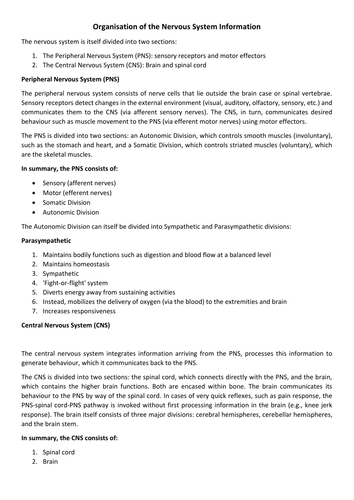 A Level Biology Organisation of the Nervous System Lesson & Activities ...