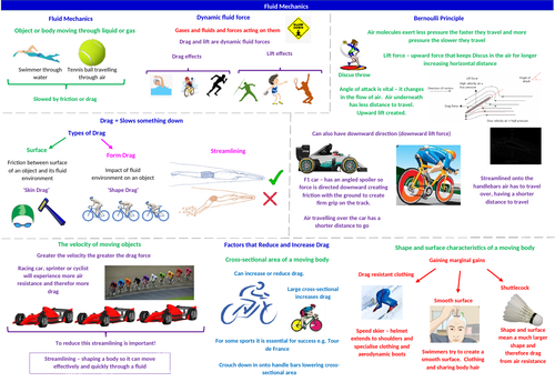 A-Level PE Knowledge Organisers A & P | Teaching Resources