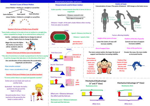A-Level PE Knowledge Organisers A & P | Teaching Resources