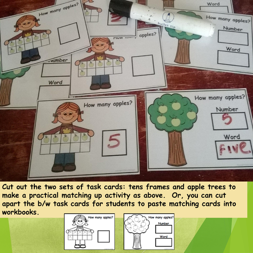 Apples Counting and Matching to 20 Tens Frame Worksheets Activities ...