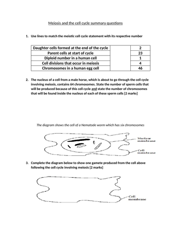 Meiosis (Edexcel GCSE Biology & Combined Science) | Teaching Resources