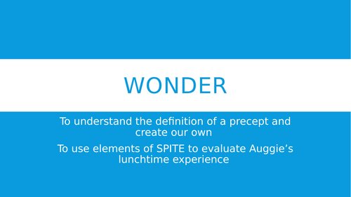 Wonder full scheme of work PowerPoints and differentiated written ...