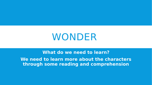 Wonder full scheme of work PowerPoints and differentiated written ...