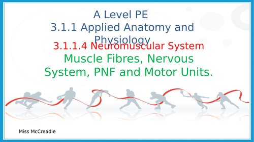 A-Level Physical Education Anatomy and Physiology - AQA new ...