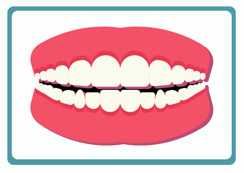 Cleaning your teeth | Teaching Resources