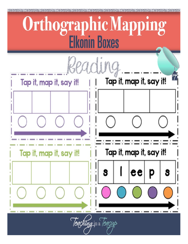Orthographic Mapping - Elkonin Boxes | Teaching Resources