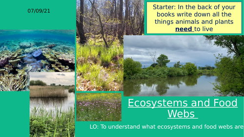 KS3 Ecosystems and Biomes scheme of learning | Teaching Resources