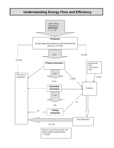 Energy in Ecosystems - A complete set of resources for AQA AS/A-Level ...