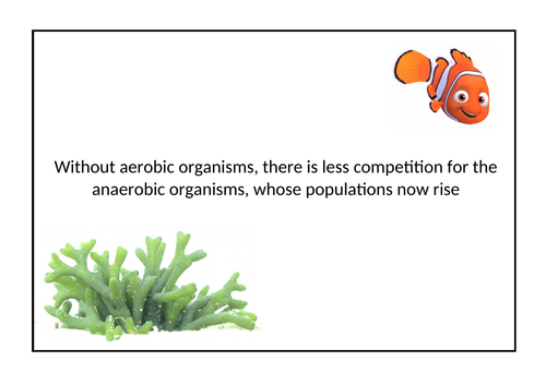 Energy in Ecosystems - A complete set of resources for AQA AS/A-Level ...
