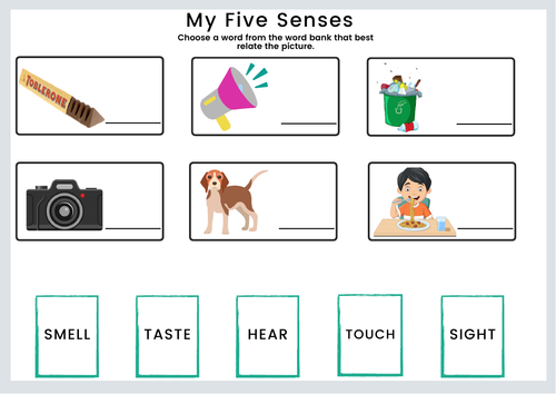 My Five Senses Worksheets with Classroom Poster | Teaching Resources
