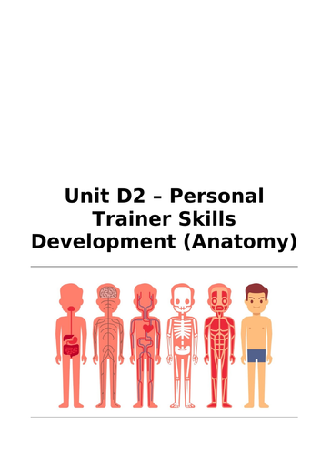 Anatomy for D2: Personal Trainer Skills Task A | Teaching Resources