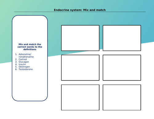 Anatomy for D2: Personal Trainer Skills Task A | Teaching Resources