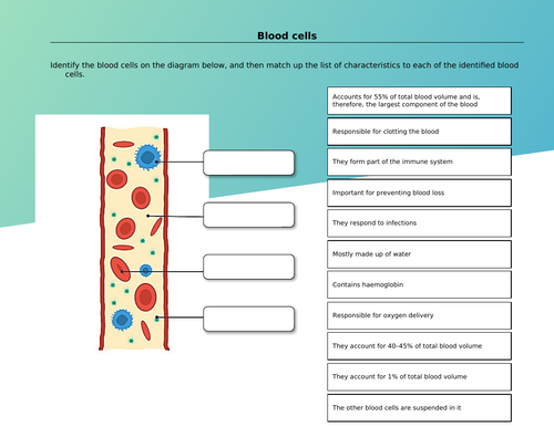 Anatomy for D2: Personal Trainer Skills Task A | Teaching Resources
