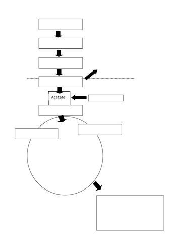 Respiration revision quiz and poster template - AQA A Level Biology ...
