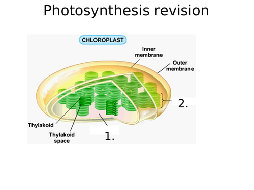 Photosynthesis revision - AQA A Level Biology | Teaching Resources