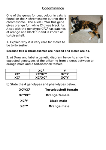 Codominance And Sex Linkage Activity Aqa A Level Biology Teaching Resources