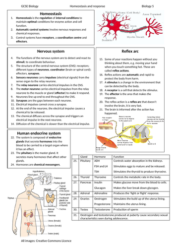 AQA GCSE biology knowledge organiser | Teaching Resources