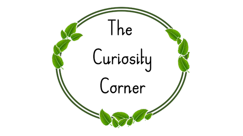 Curiosity Corner | Teaching Resources